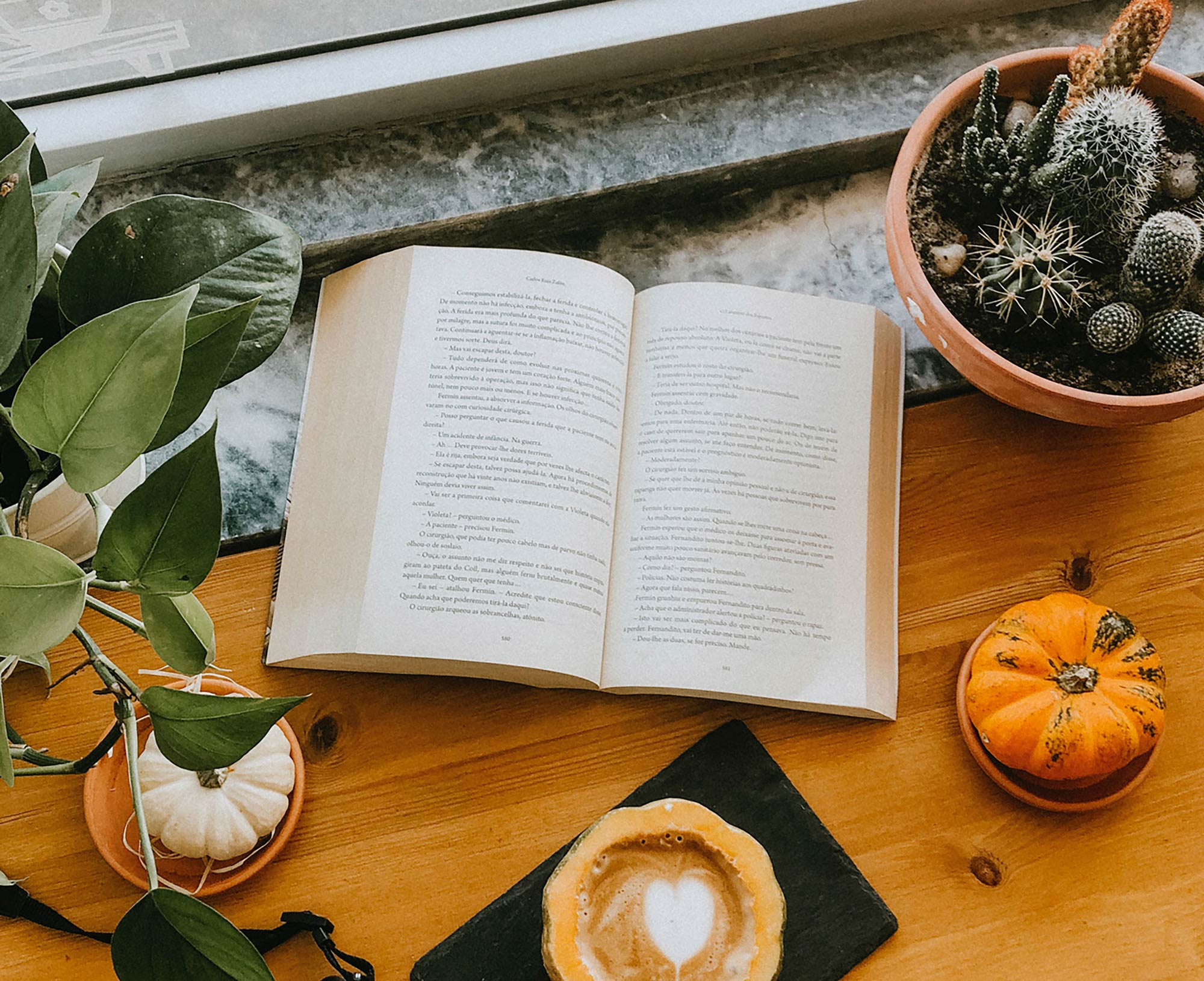 The Glossary of Plant Terms | Expand Your Plant Knowledge – Plants in a box