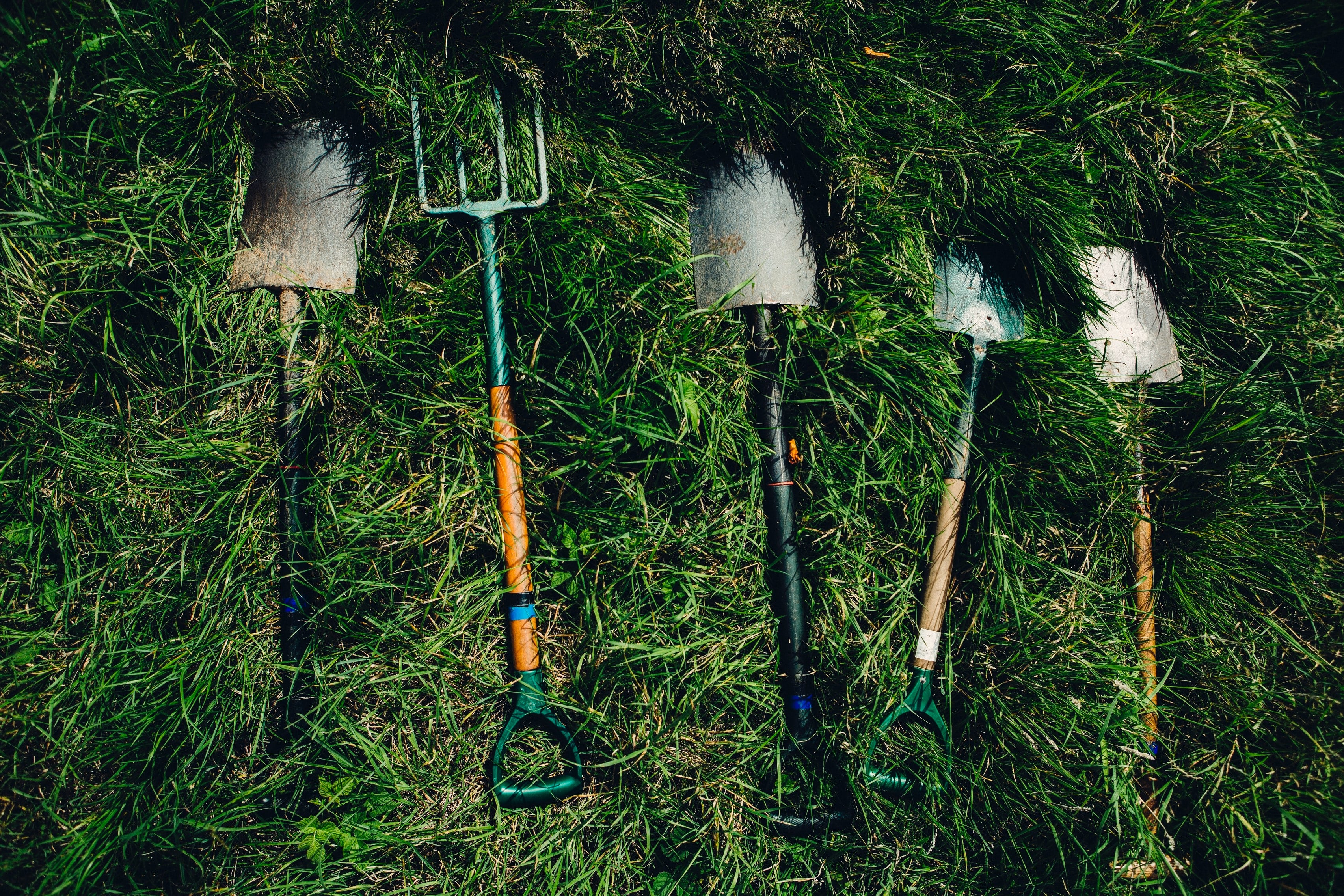 Planting out: An in-depth instruction guide – Plants in a box