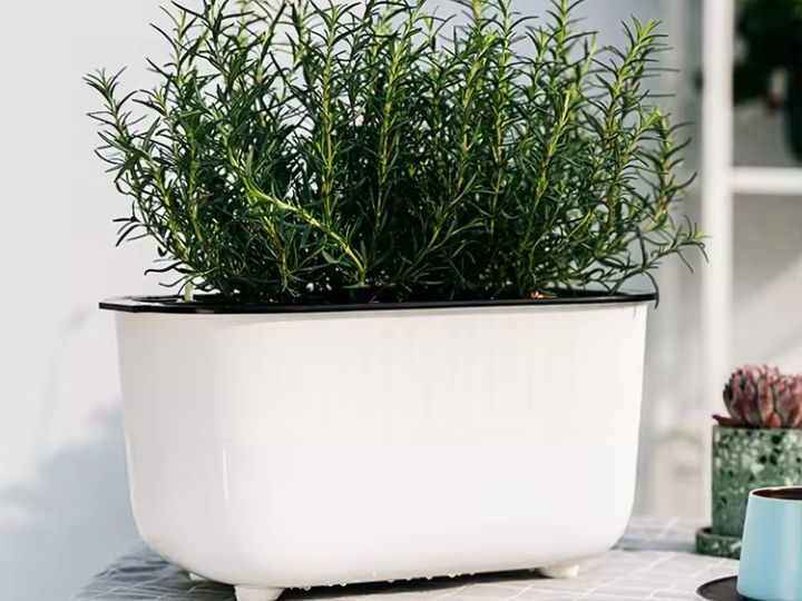 Indoor Wicking Planter Set | Easy Plant Bundles Available Online With ...