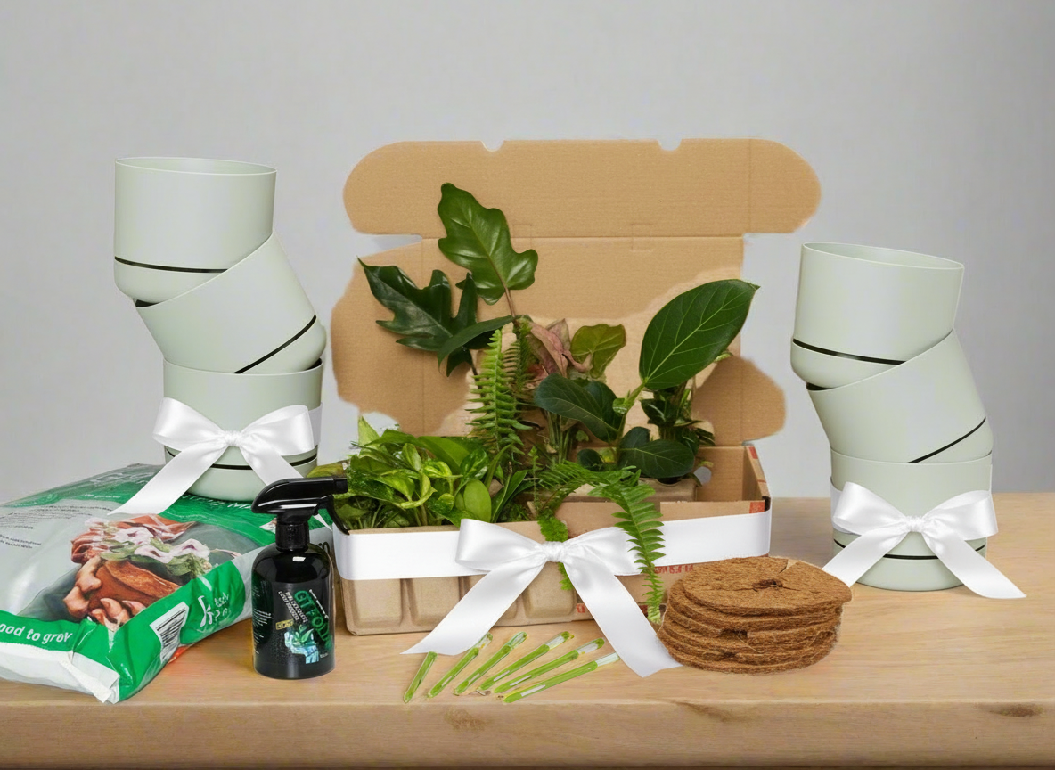 Ultimate Houseplant Set – Plants in a box